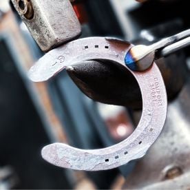 Kerckhaert Horseshoes