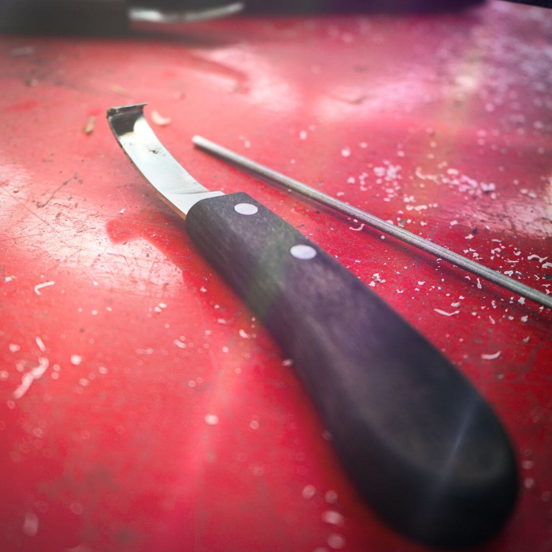 Diamond Hoof Knife Collection